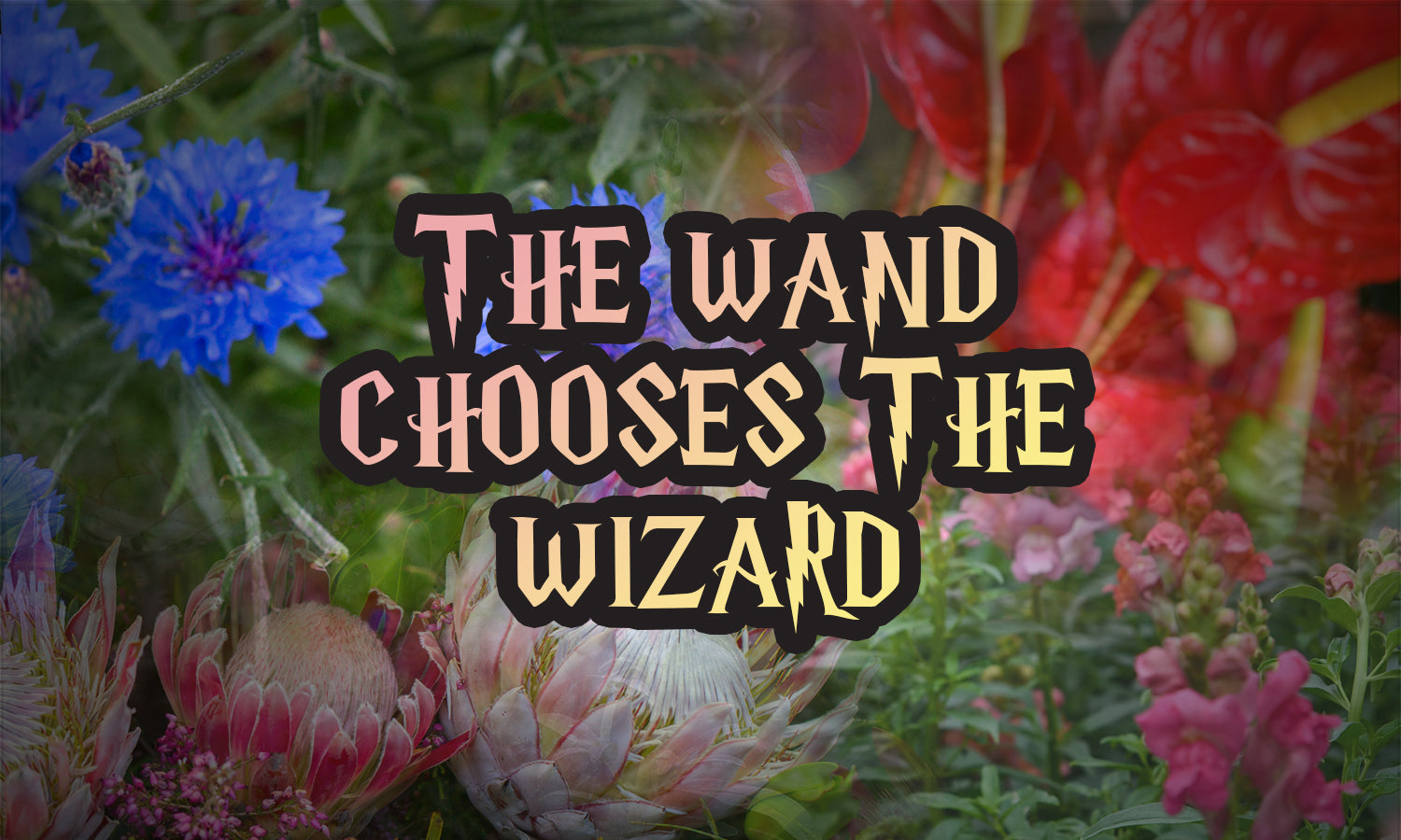 Quiz: The Wand Chooses the Wizard – Pure Romance